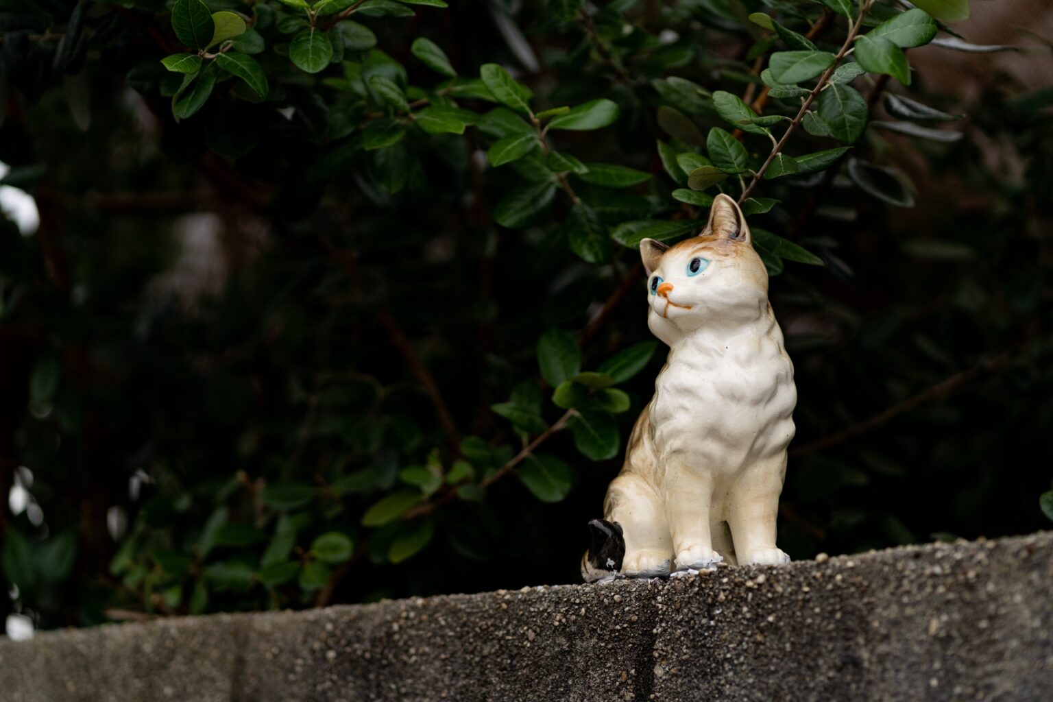 日本の伝統焼きもの『陶器』『磁器』が持つ魅力